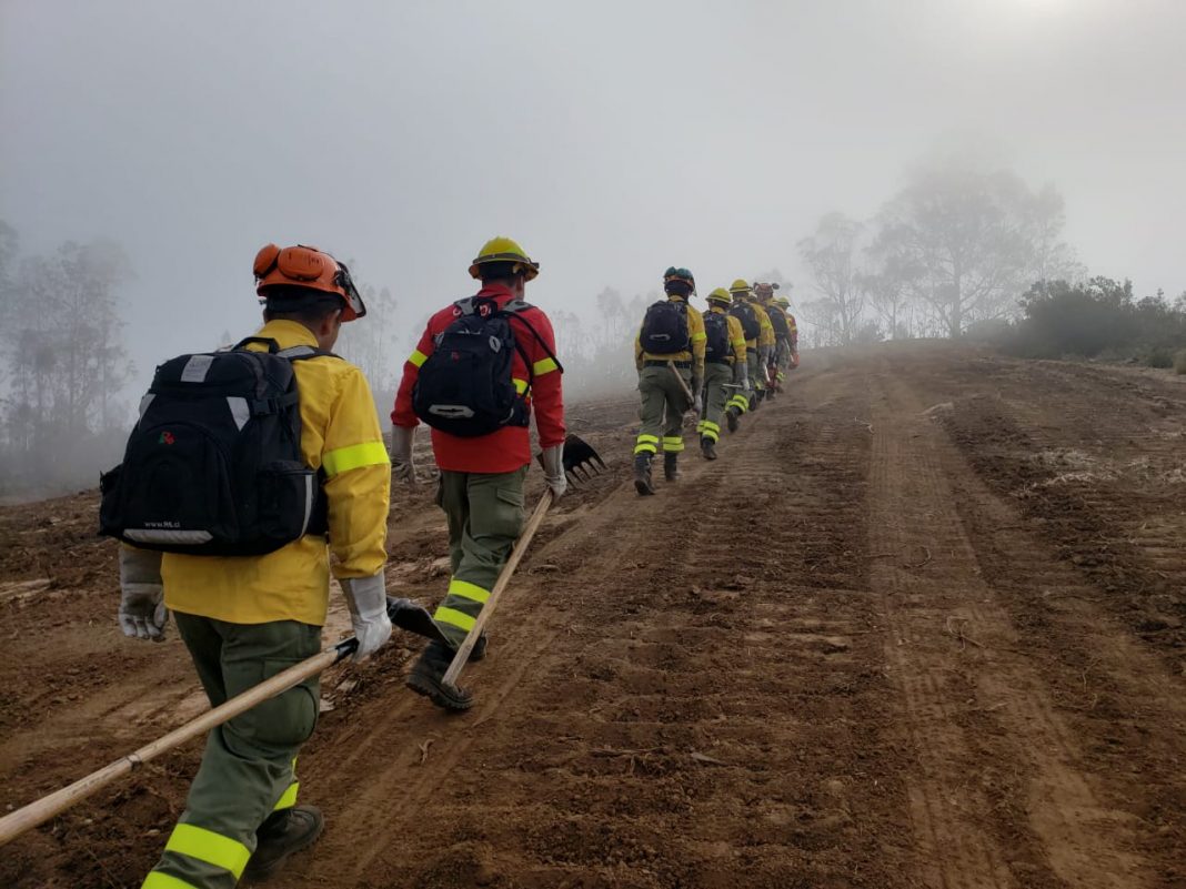 CONAF y consultores forestales constituyen primera mesa técnica de la ...